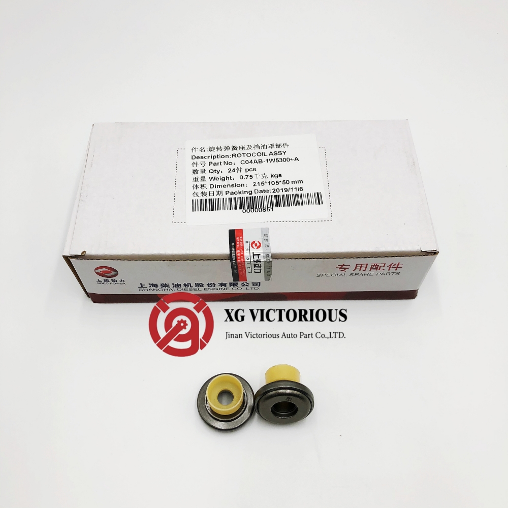 C04AB-1W5300+A Valve seal – XG VICTORIOUS